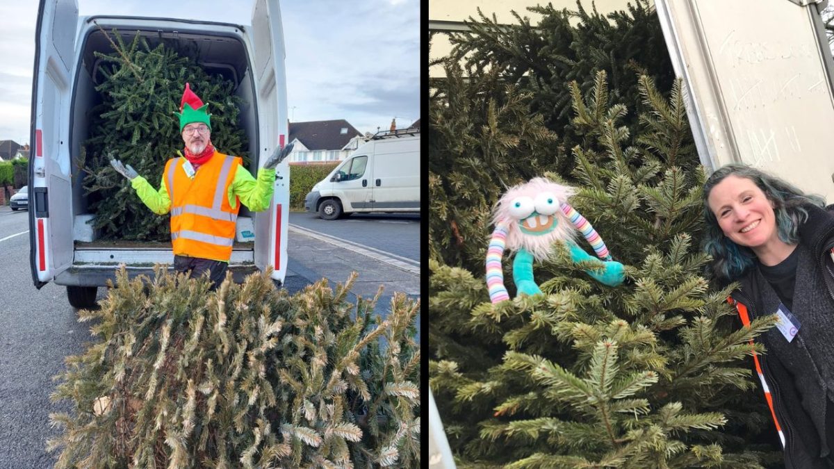 Book your Christmas tree collection to help Coventry charity - The ...