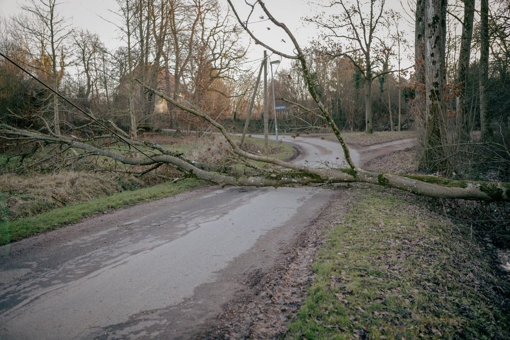 Warwickshire Fire and Rescue receive 257 calls during Storm Darragh ...